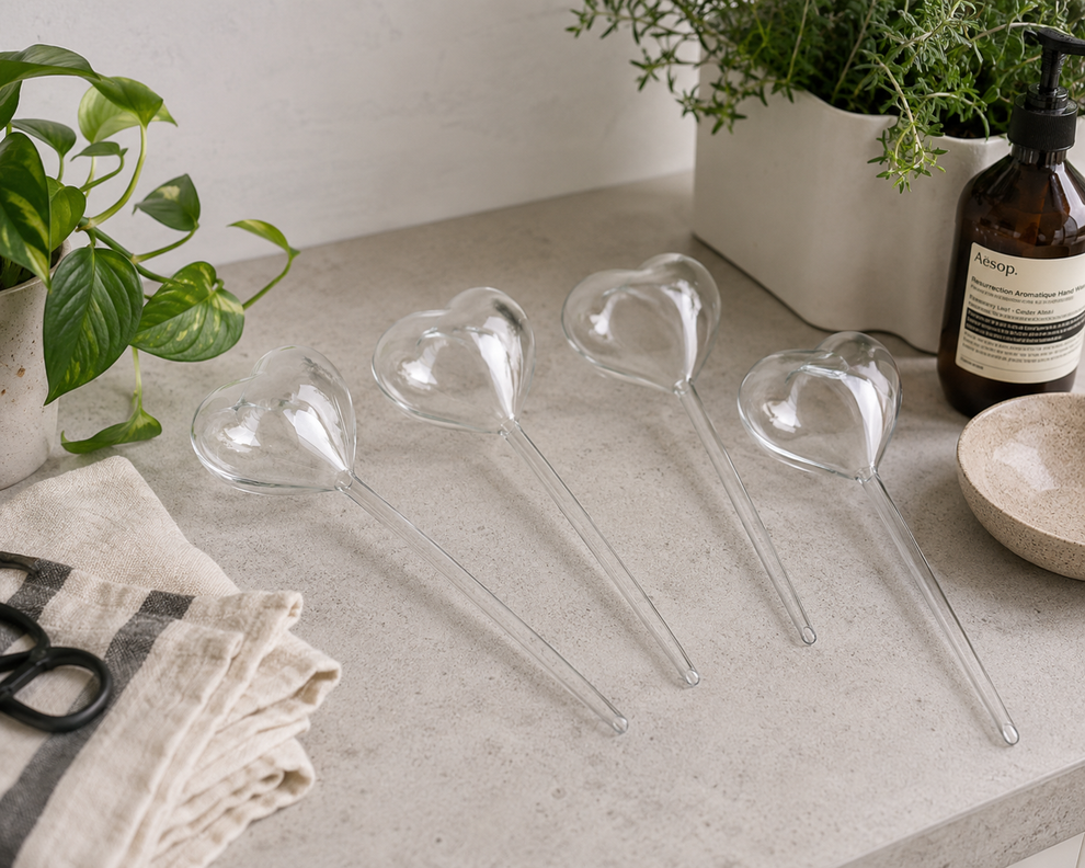 Self-Watering Glass Plant Balls - 2 Pack – Plant Club